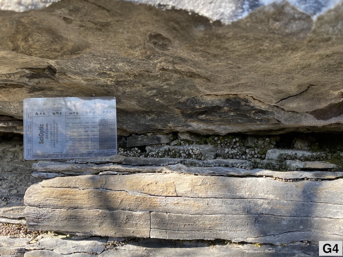 Solocator G Map — Earth@Home