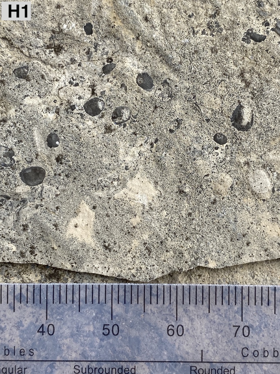 Solocator H — Earth@Home