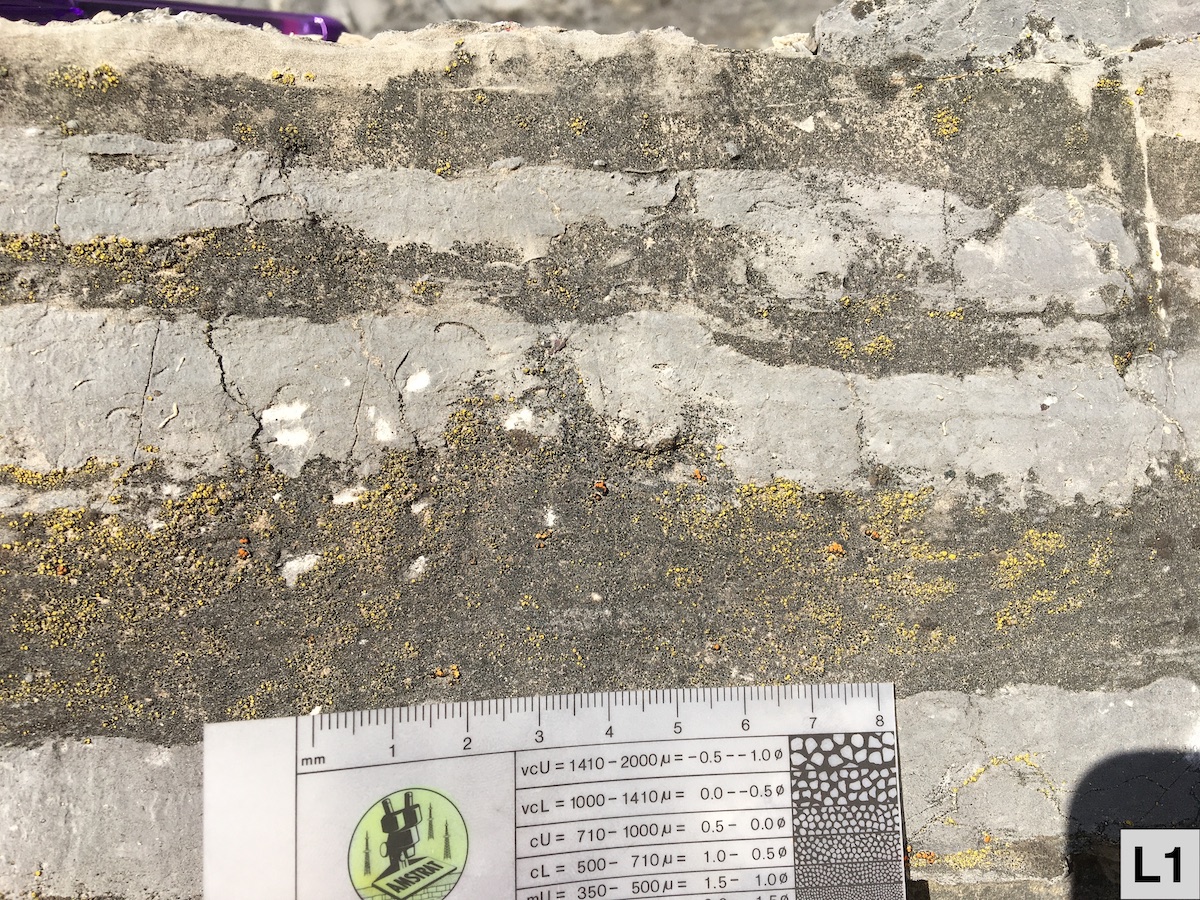 Solocator L Map — Earth@Home