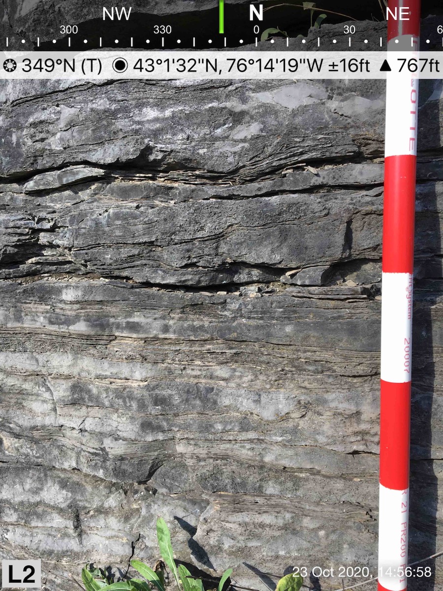 Solocator L Map — Earth@Home