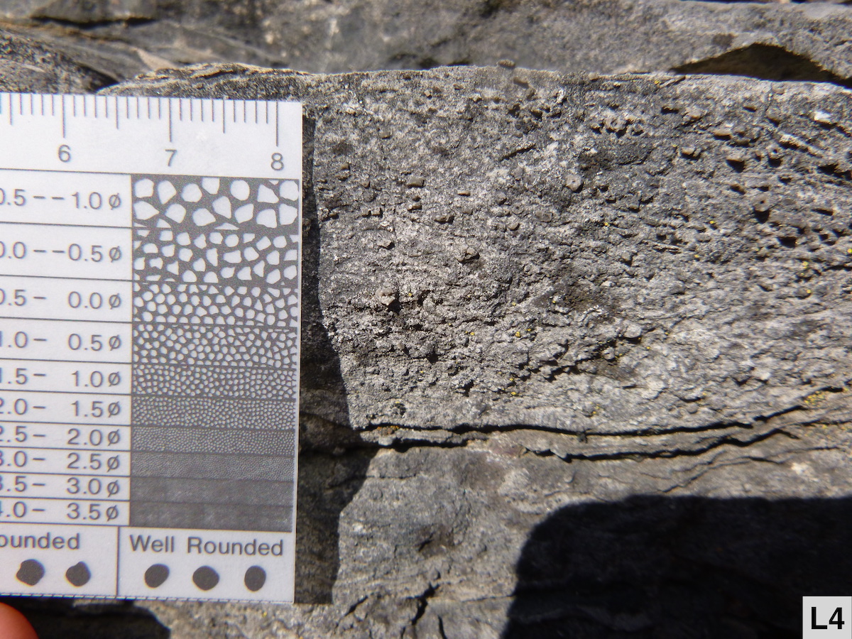 Solocator L Map — Earth@Home