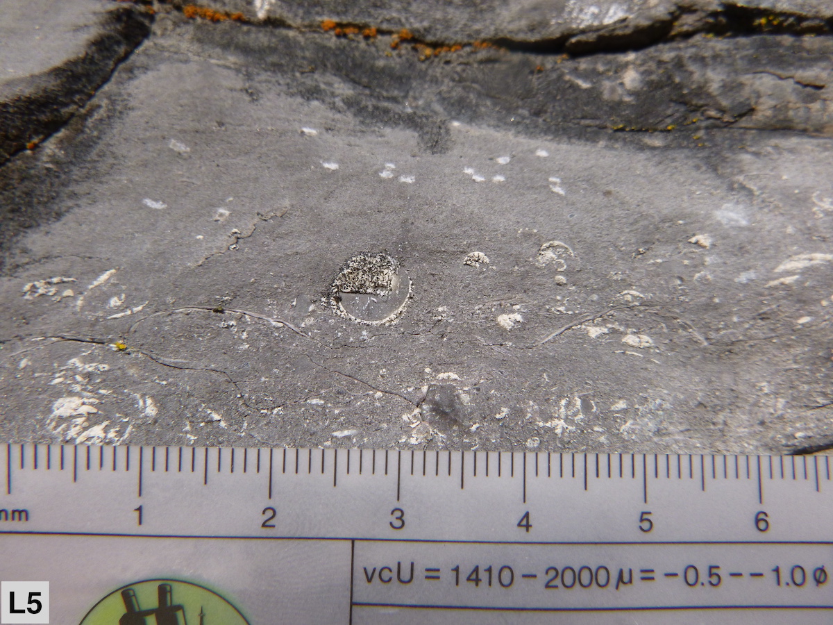 Solocator L — Earth@Home