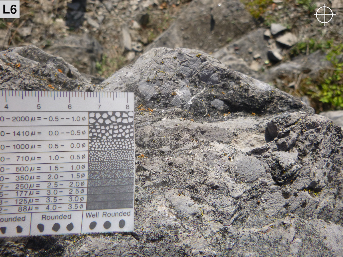 Solocator L Map — Earth@Home