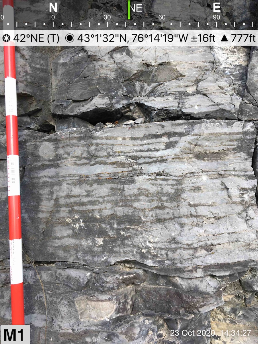 Solocator M Map — Earth@Home