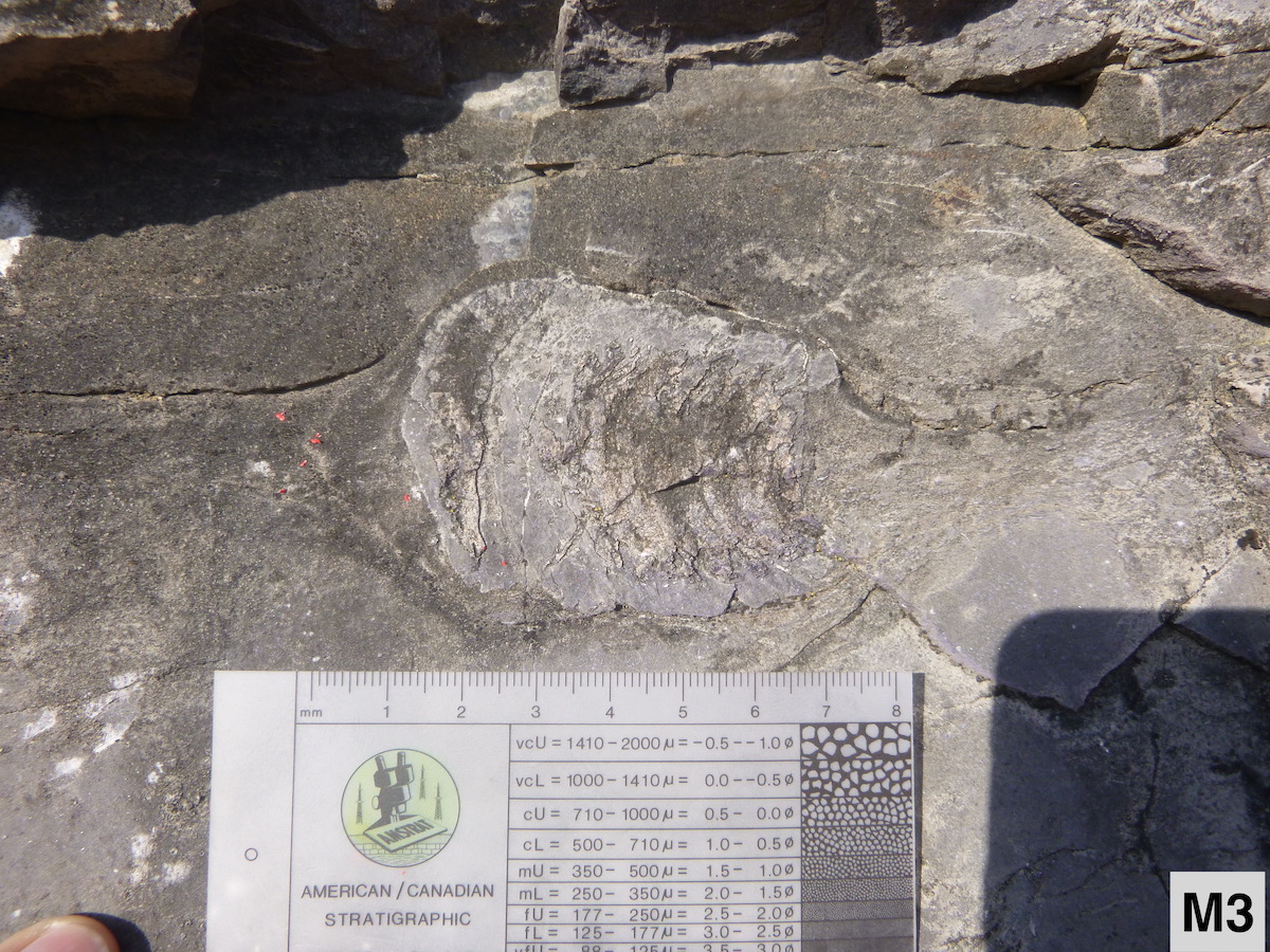 Solocator M Map — Earth@Home