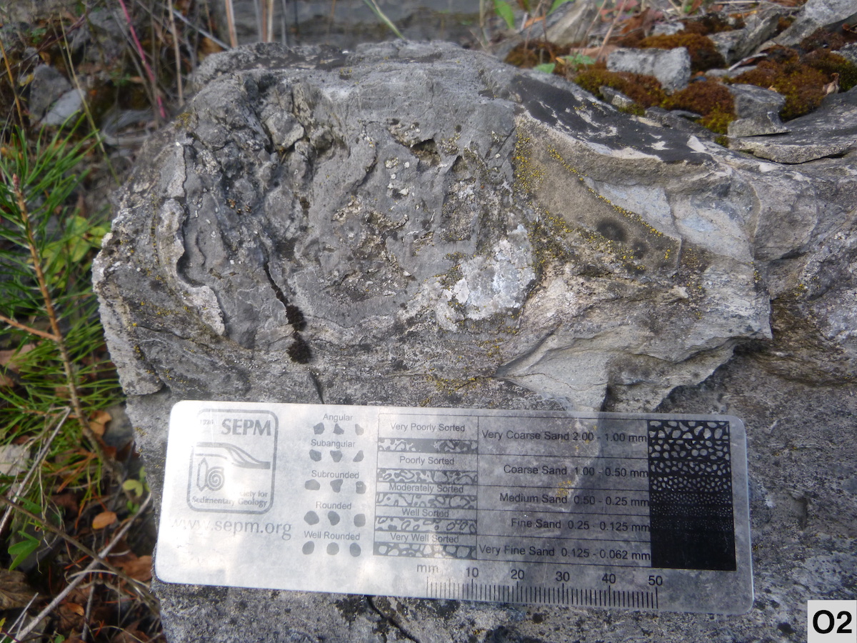 Solocator O Map — Earth@Home