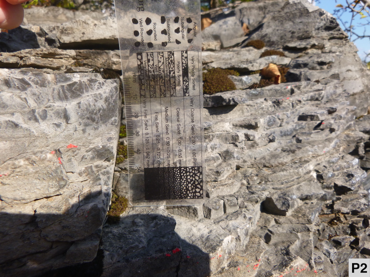 Solocator P Map — Earth@Home