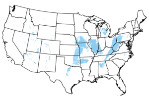 Geologic Time Scale — Earth@Home