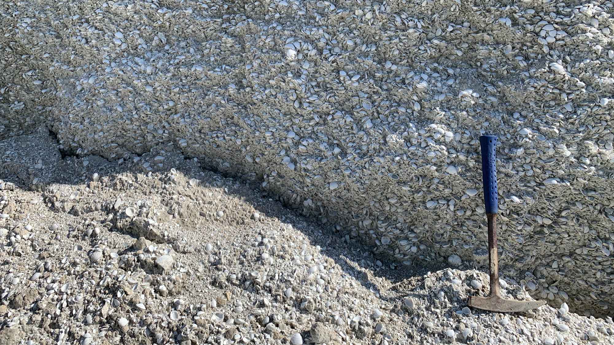 Florida Earth Science Quick Facts — Earth@Home