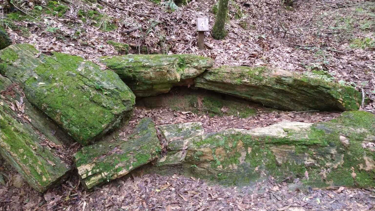 Mississippi Earth Science Quick Facts — Earth@Home