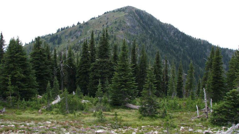 Topography of the Rocky Mountains — Earth@Home
