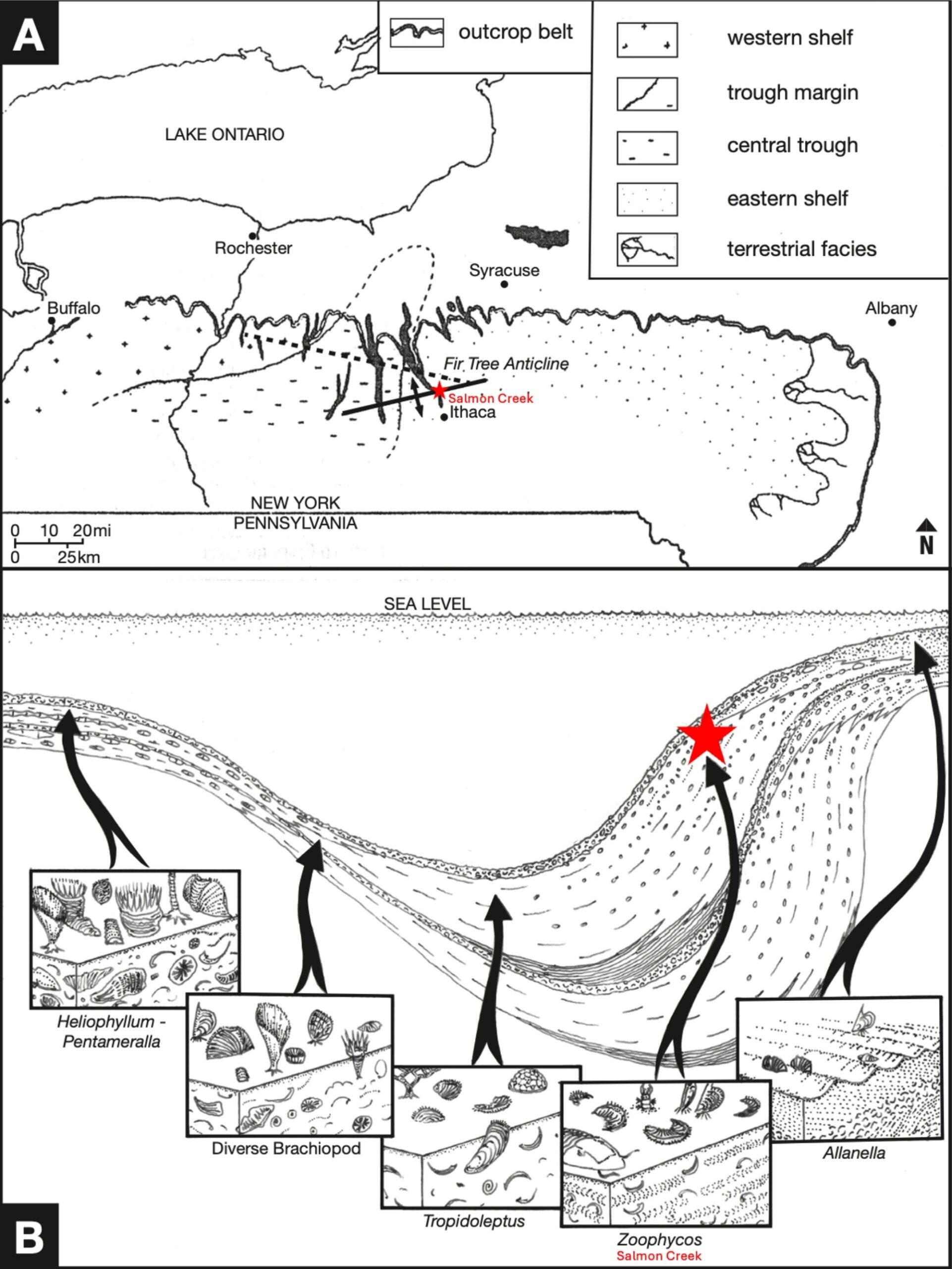A Field Guide to the Geology and Paleontology of Salmon Creek and ...
